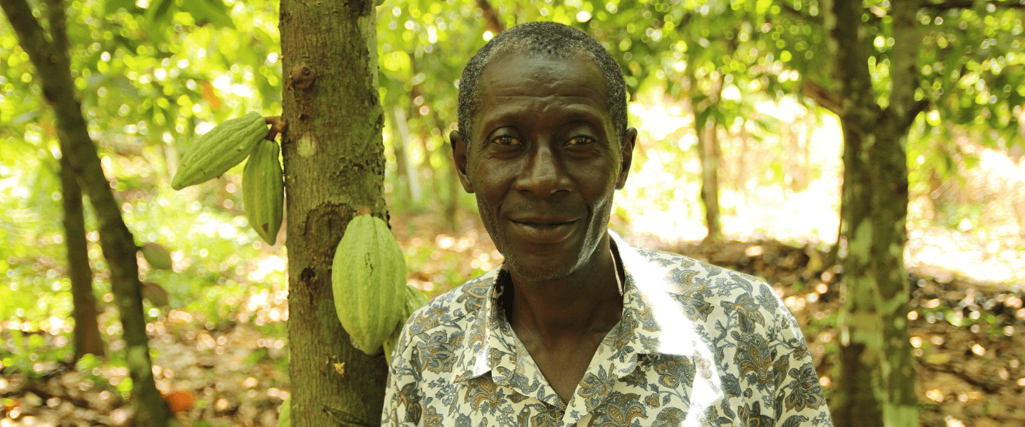 Côte d’Ivoire - AVSF - Agronomes & vétérinaires sans frontières