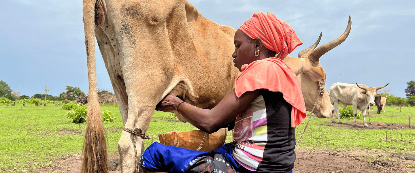 Sénégal - AVSF - Agronomes & vétérinaires sans frontières