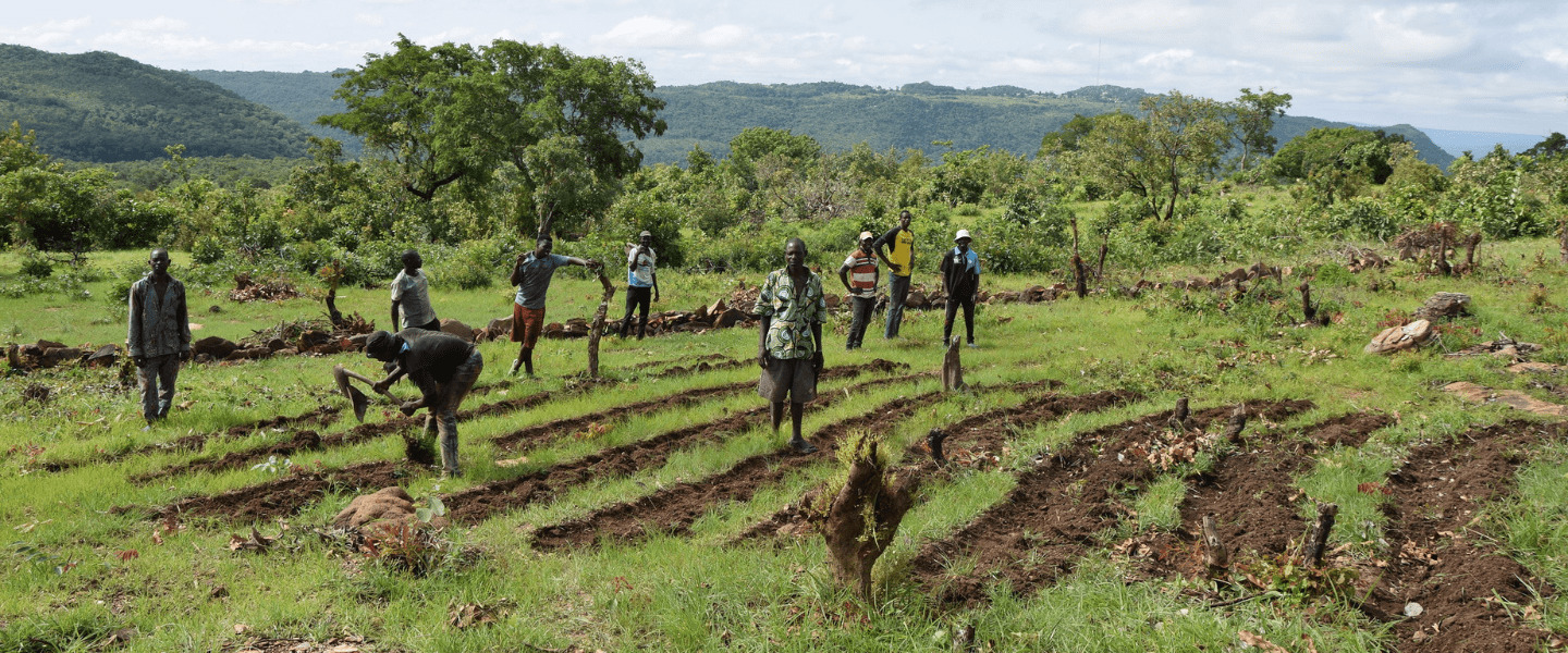 Togo - AVSF - Agronomes & vétérinaires sans frontières