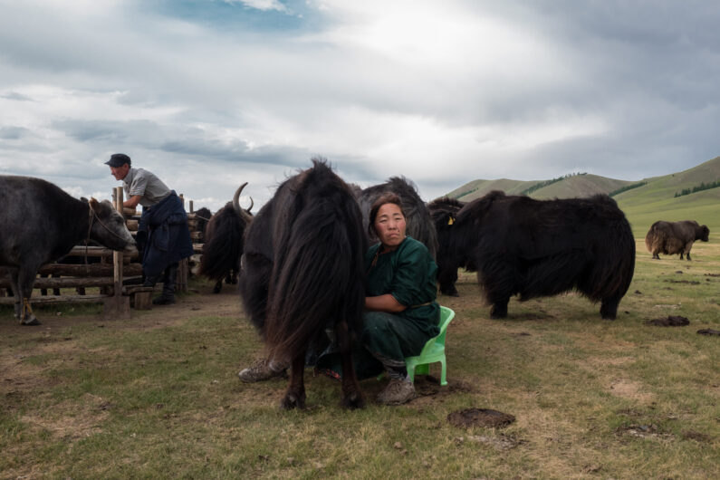 Economic empowerment of rural women in Mongolia - AVSF - Agronomes ...