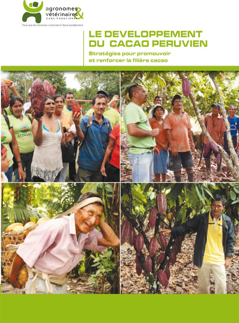 Le développement du cacao péruvien : stratégies pour promouvoir et ...