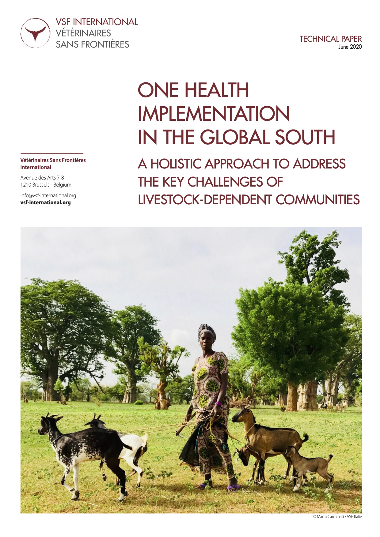 One Health implementation in the Global South: VSF-International Technical Paper - AVSF ...