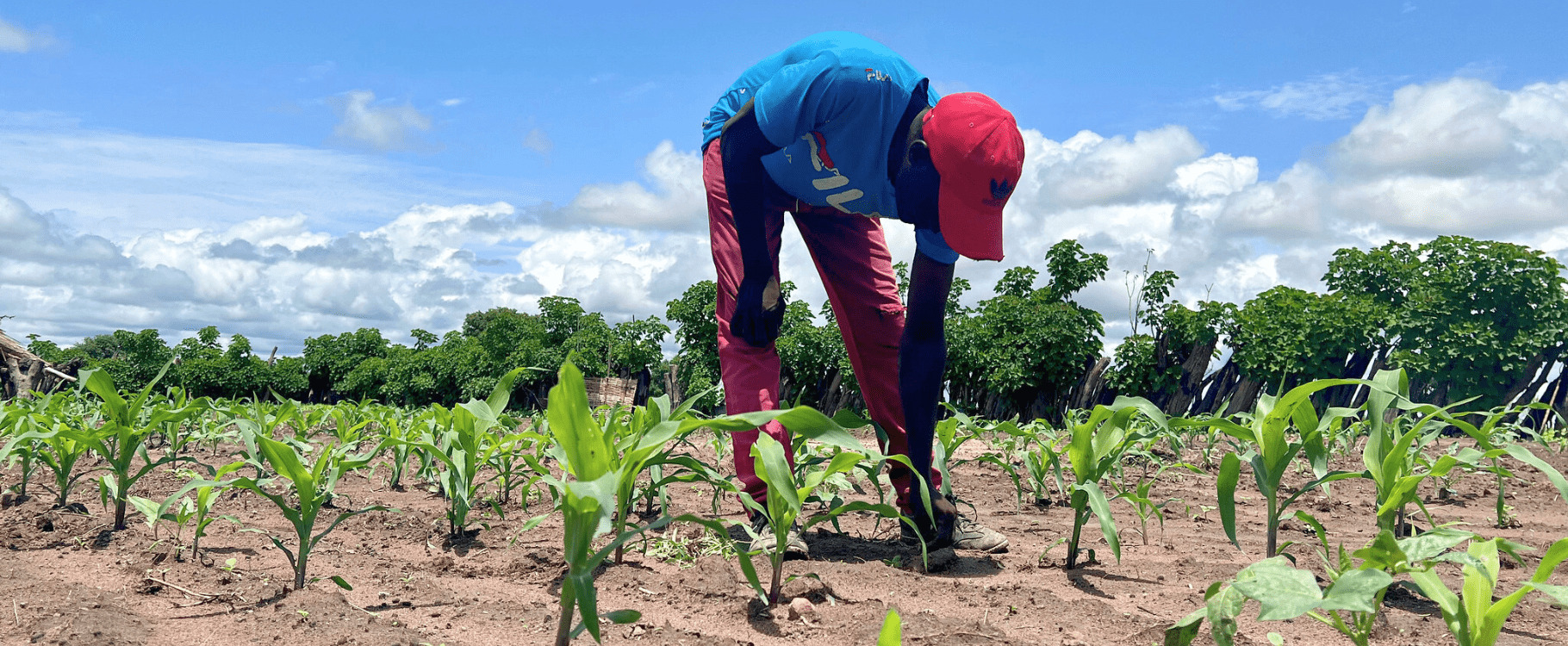 AVSF agit dans 22 pays - AVSF - Agronomes & vétérinaires sans frontières